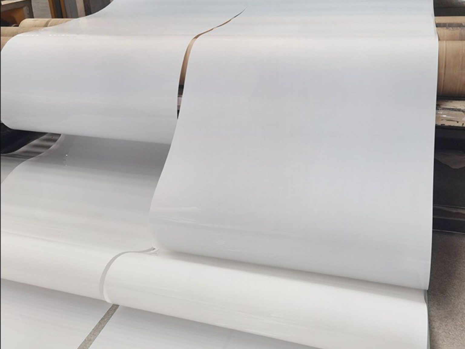 Nastri per il trasporto di pollina - B5 Belts Group S.r.l.