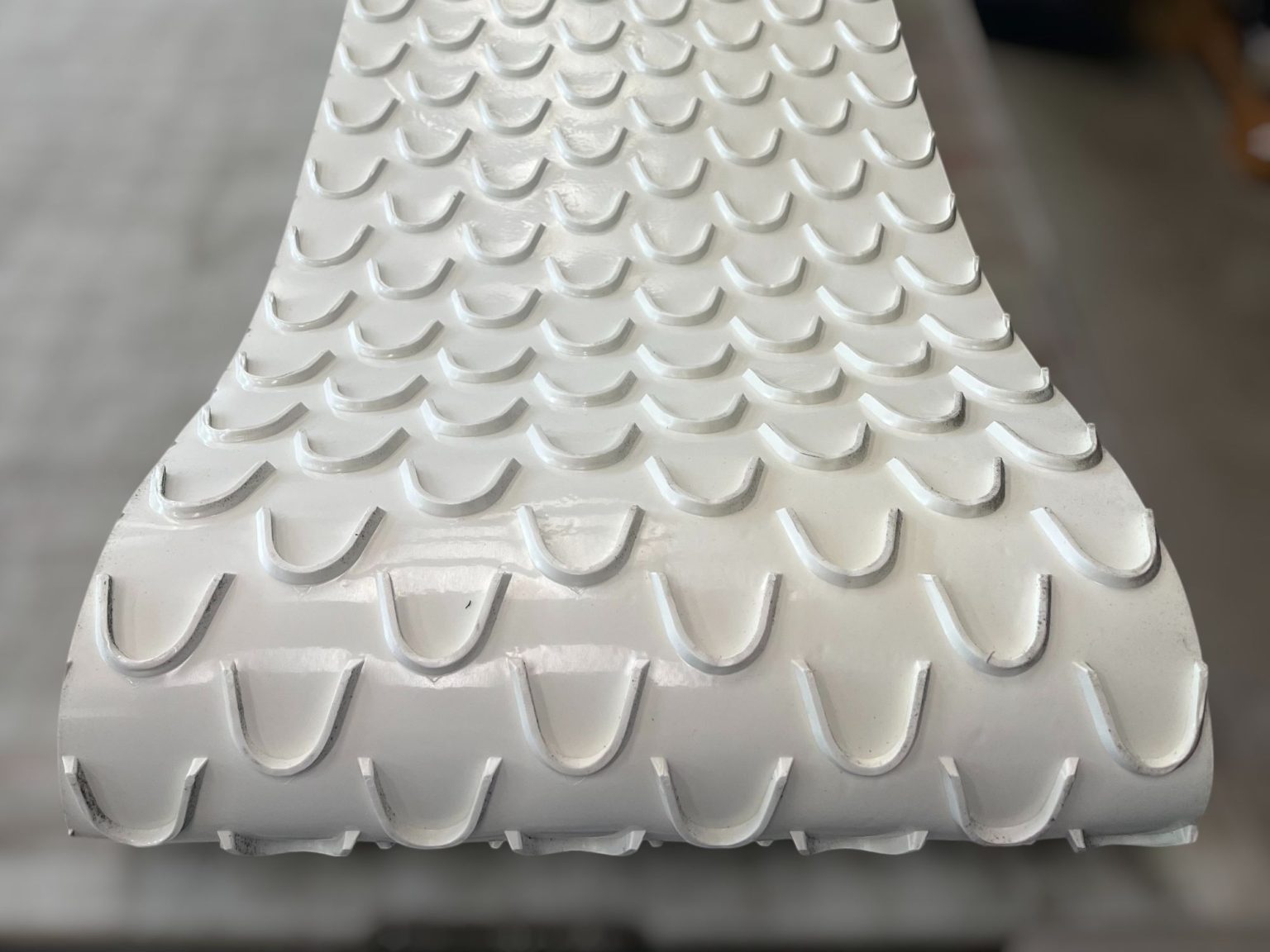 Nastri trasportatori per il settore avicolo - B5 Belts Group S.r.l.